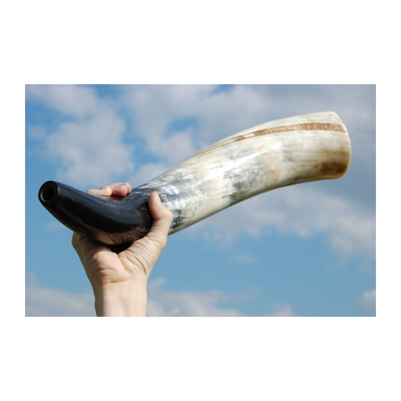 Instrument